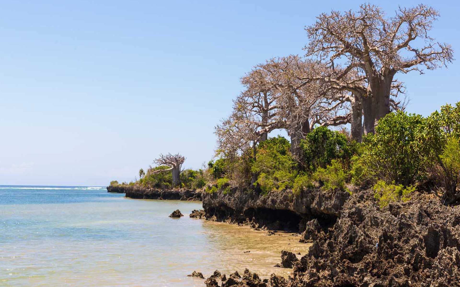 Pemba Island - Planet Reserve